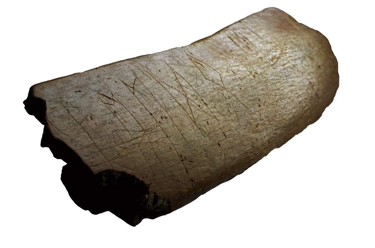 Brno Archaeologists Reveal Early Slavs Used Germanic Runes In Oldest ...