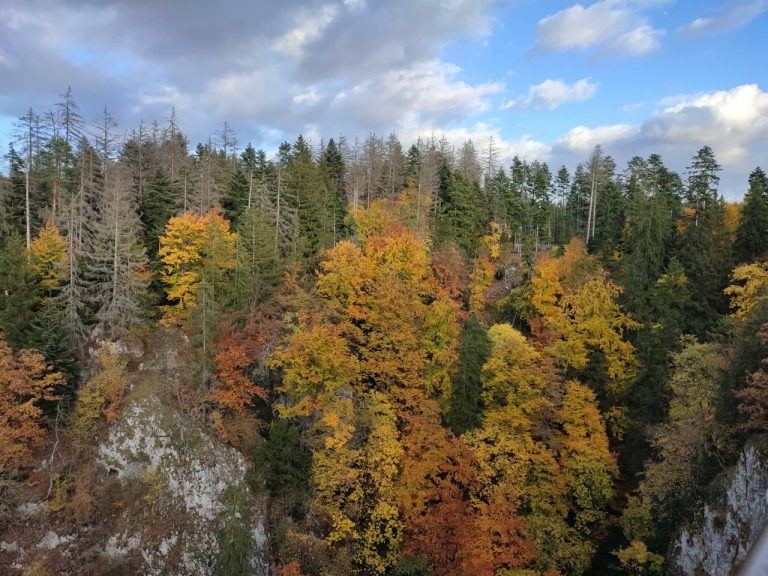 A Natural Wonder Near Brno: Punkva Caves and Macocha – Brno Daily