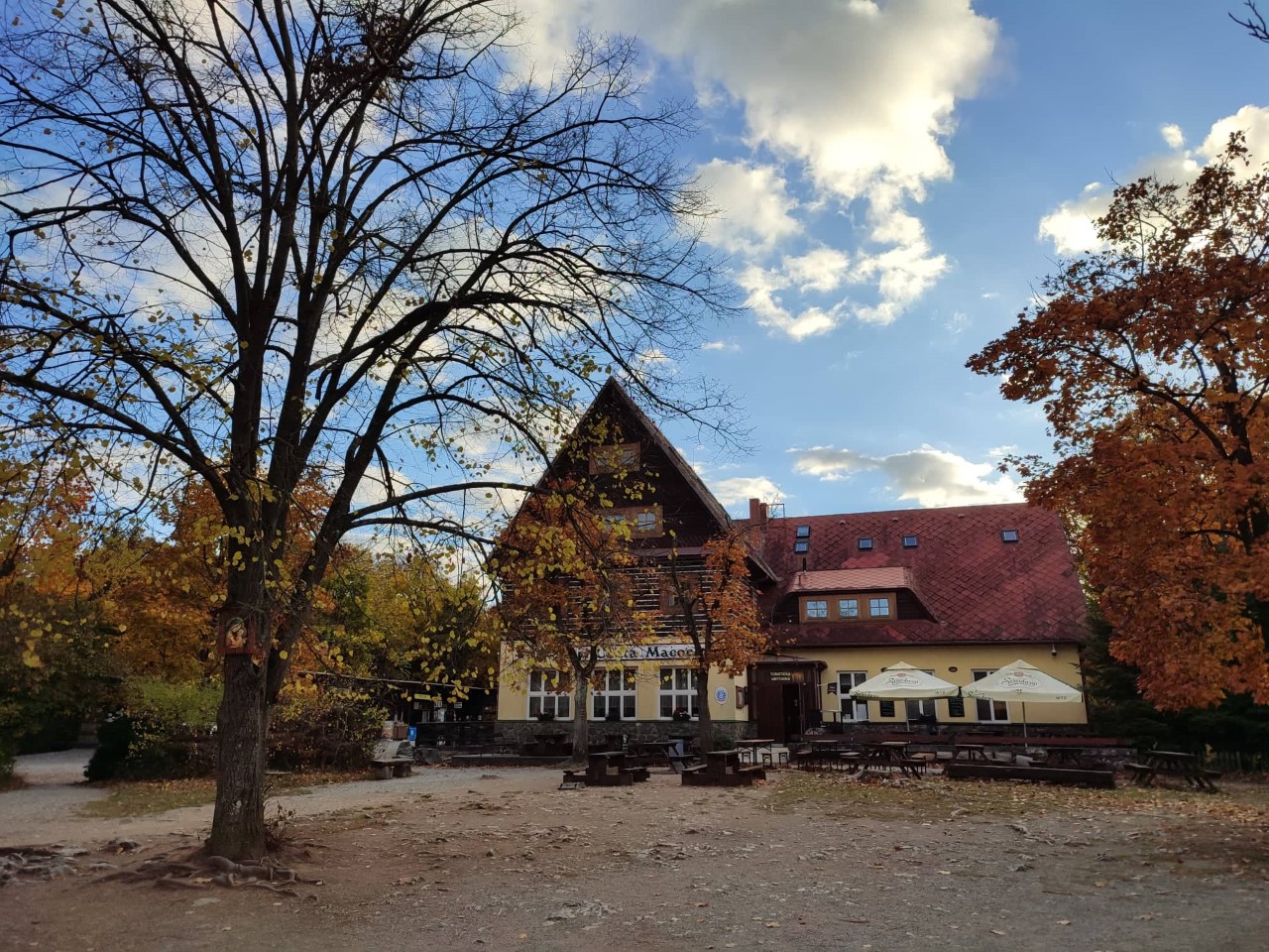 A Natural Wonder Near Brno: Punkva Caves and Macocha – Brno Daily
