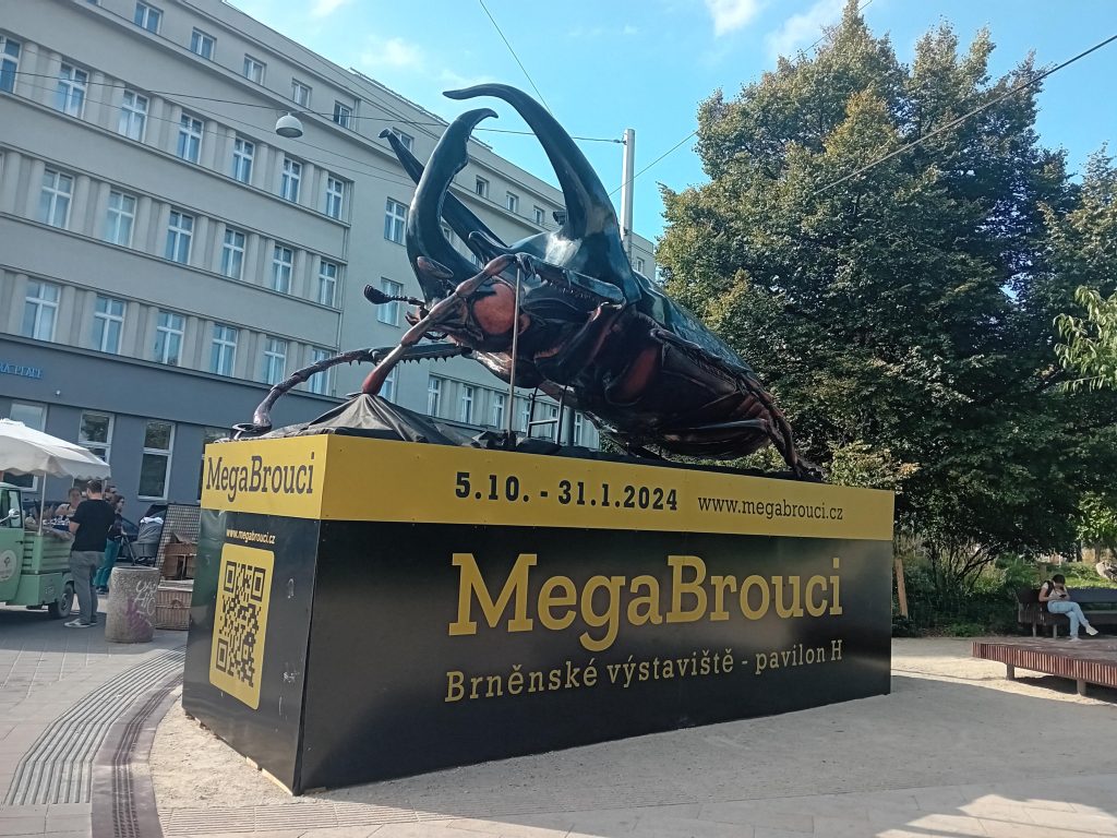 Mega Beetles Exhibition Brings The Fascinating World of Insects To Brno ...