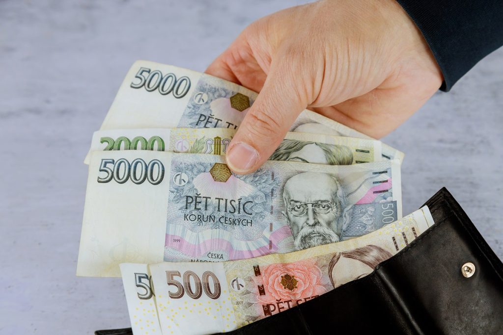 Chamber of Deputies Passes Contested Government Pension Reform - Brno Daily