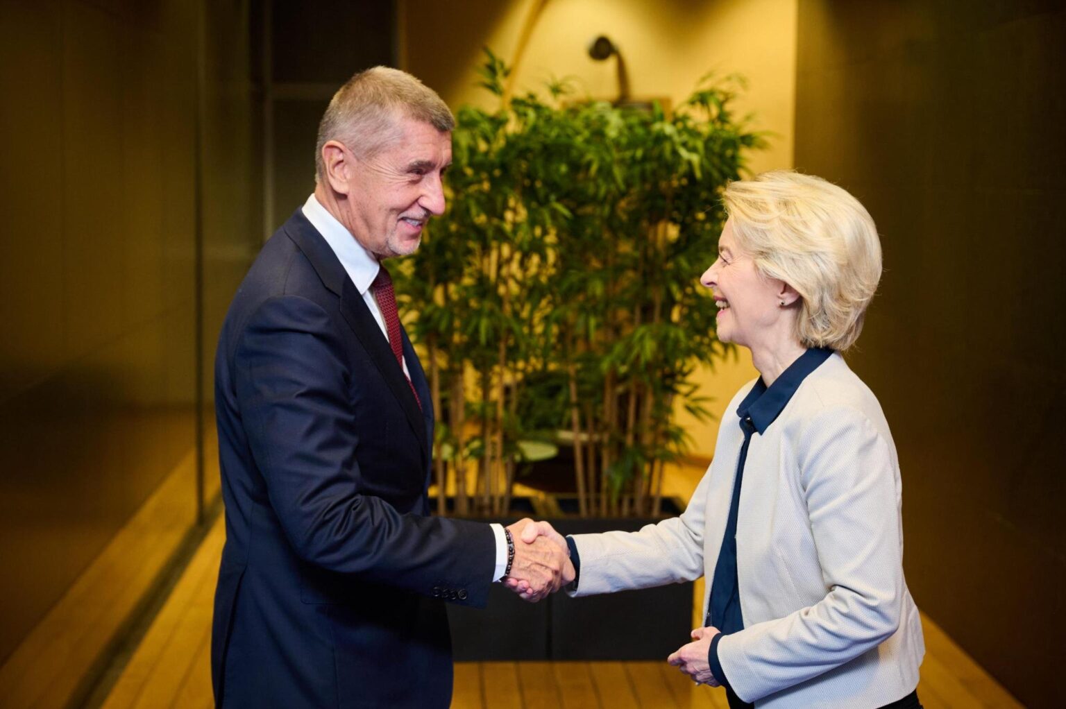 New Czech PM Babis Meets European Commission President Von der Leyen in ...